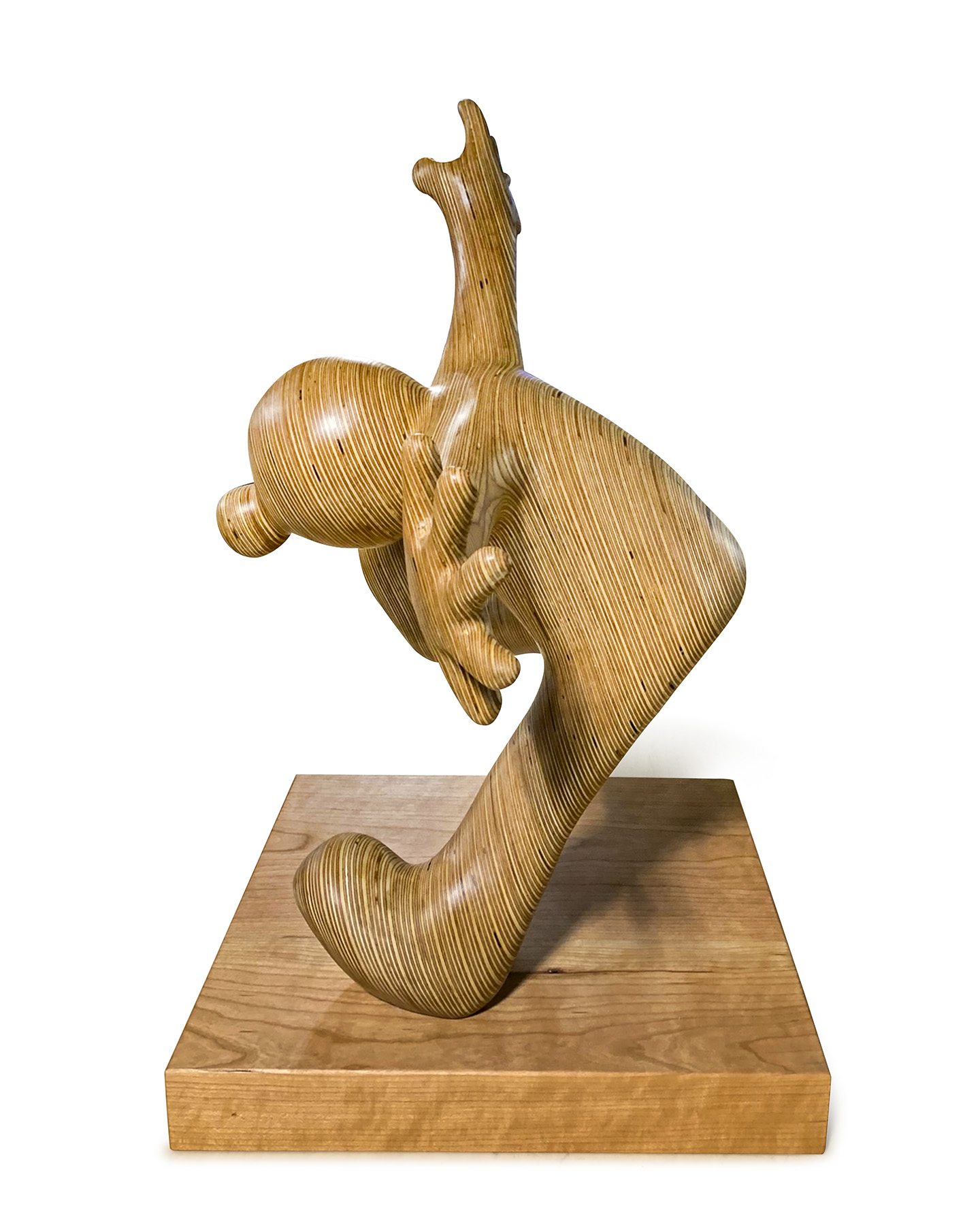 David Stoltz – Artist